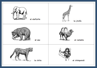 Spanish Vocabulary Picture Cards by Theme - Spanish Playground